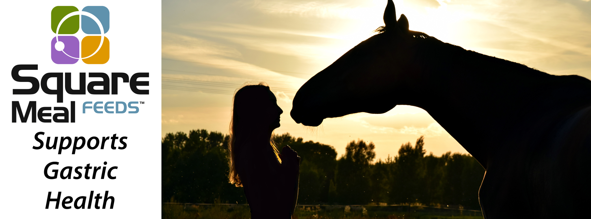 Benefits - Square Meal FeedsSquare Meal Feeds